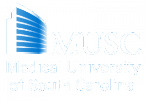 Arterial Analysis Software | Elucid