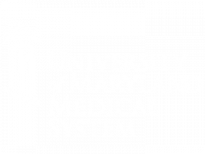 Arterial Analysis Software | Elucid