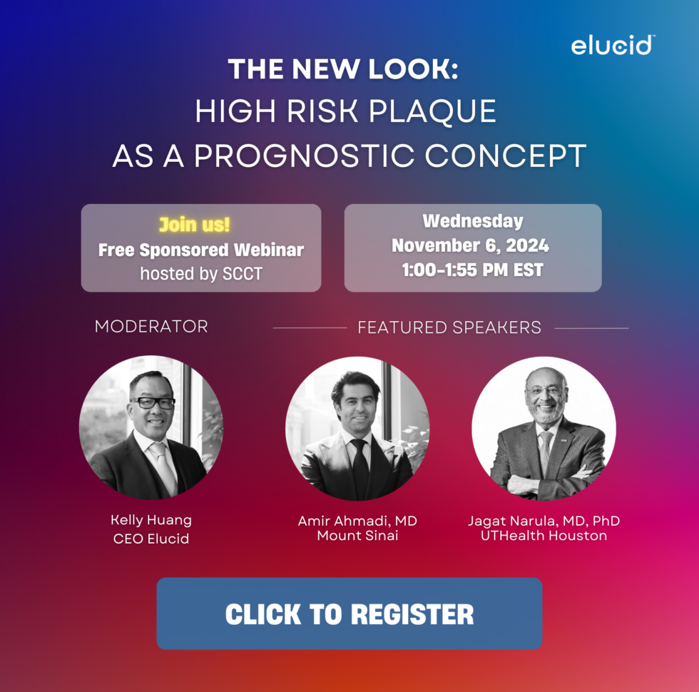 Arterial Analysis Software | Elucid